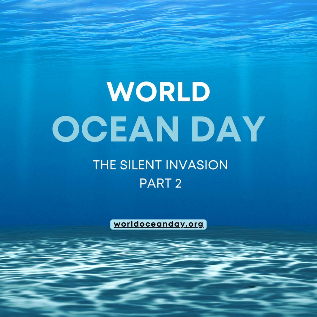 The Silent Invasion Part 2: How We Can Prevent Plastic in our Oceans ...